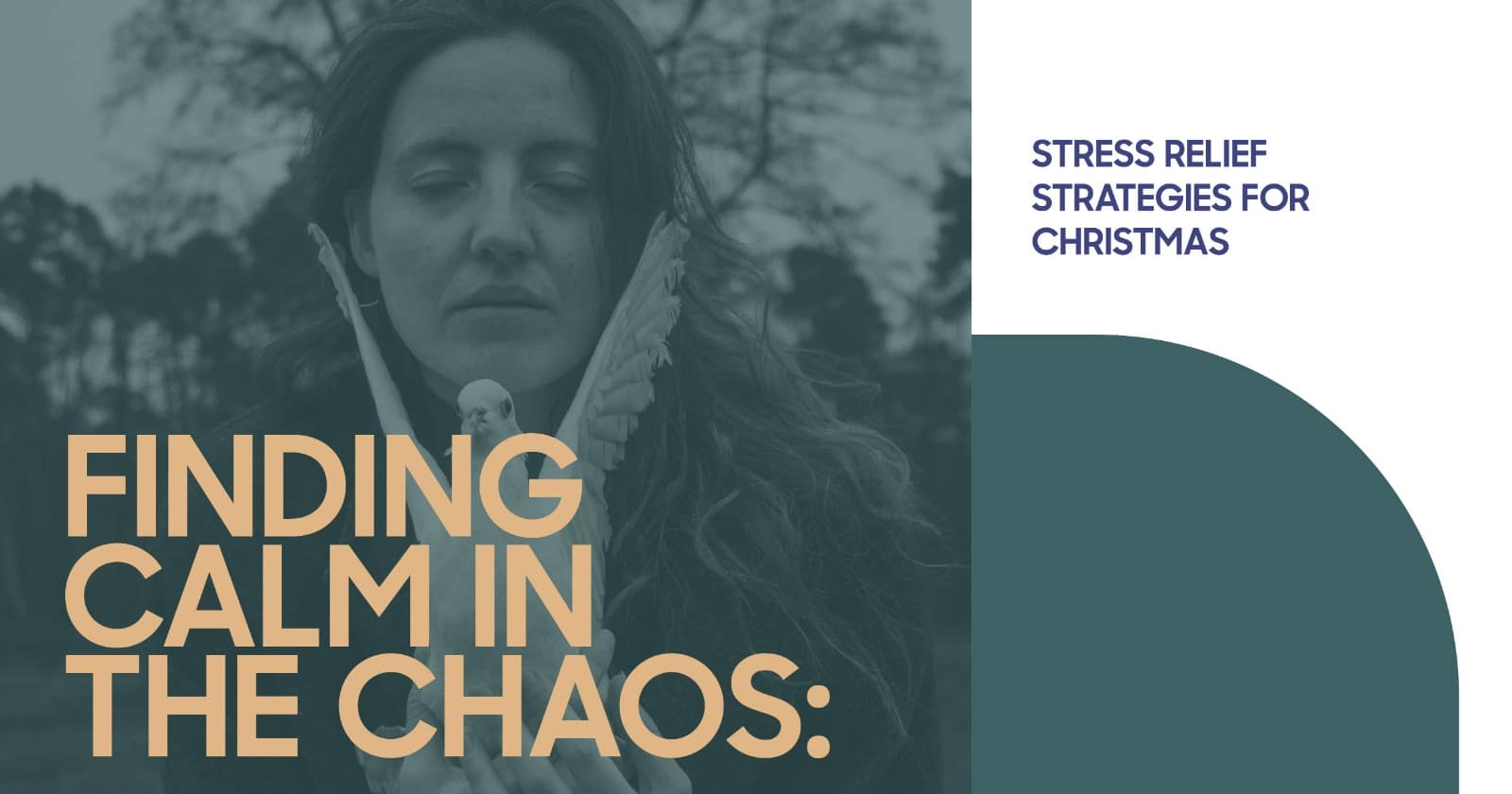 Autism vs Intellectual Disability: Key Differences Explained